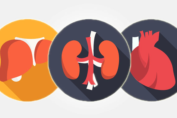 Organ Donation: State Efforts Have Done Little To Close The Supply Gap ...