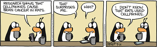 'Rat Chat' - KFF Health News