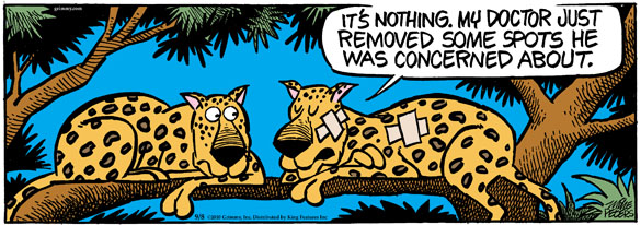 'Spot Check?' - KFF Health News