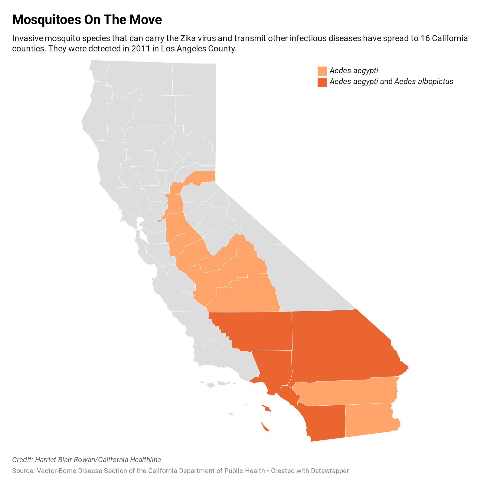 Invasive Mosquitoes Plunge Deeper Into California - KFF Health News