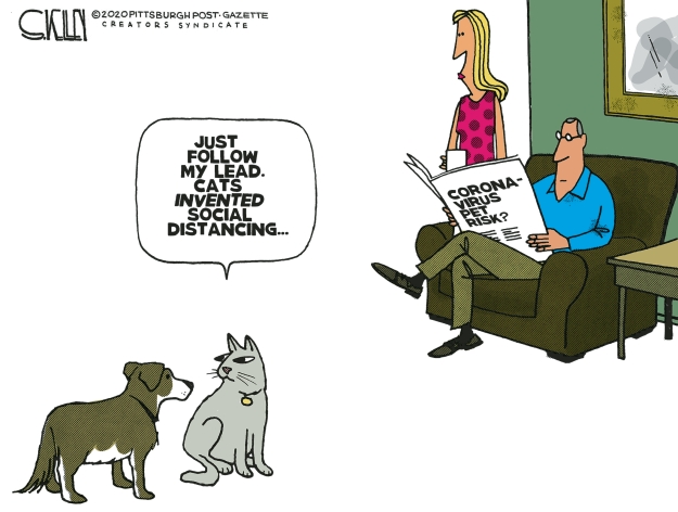 'A Cat's Guide to Social Distancing?' - KFF Health News