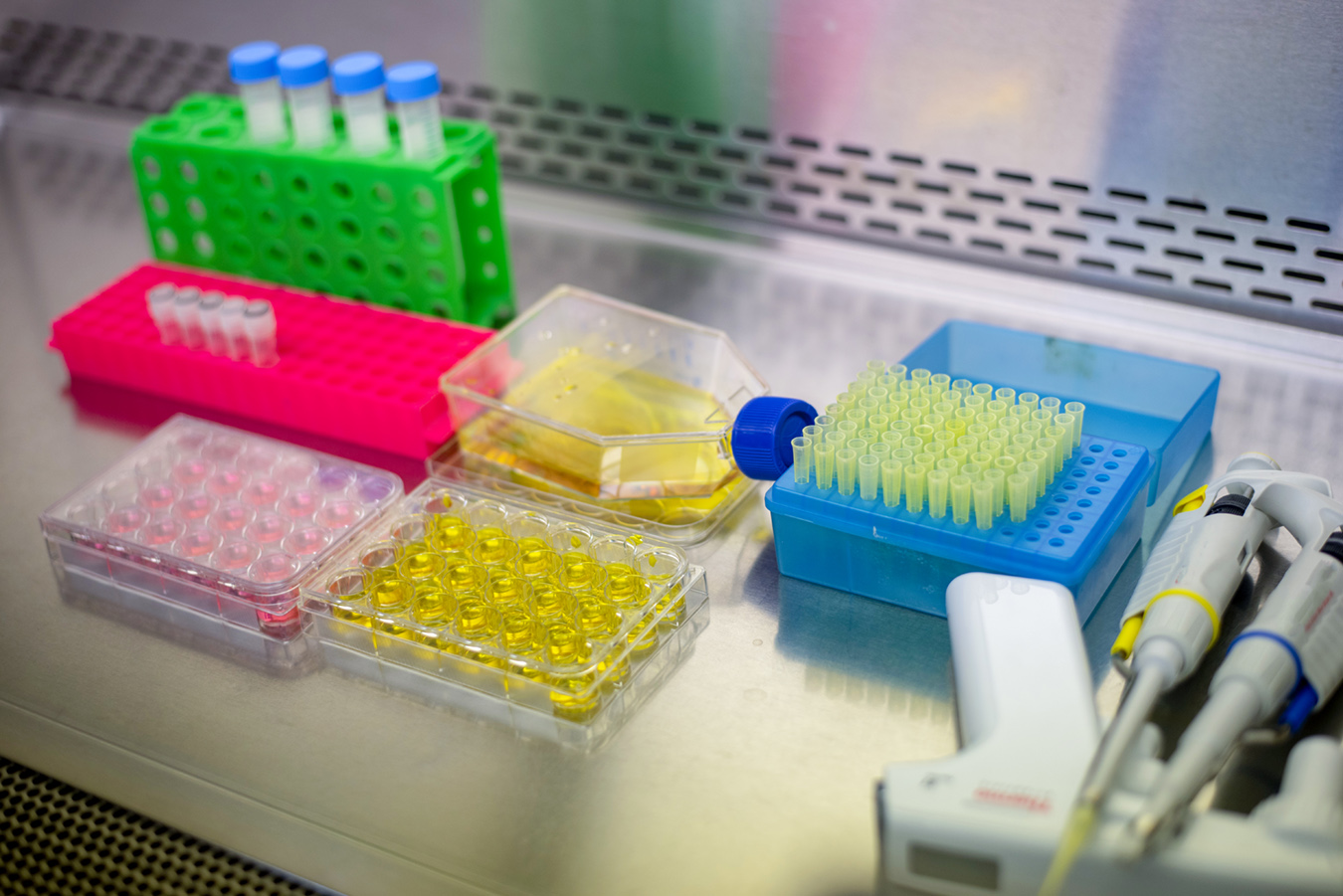 A Coronavirus Vaccine: Where Does It Stand? - KFF Health News