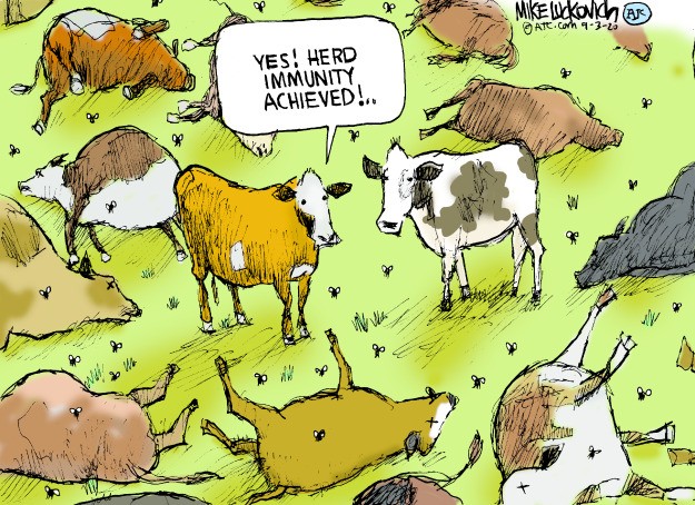 'Herd Immunity?' - KFF Health News