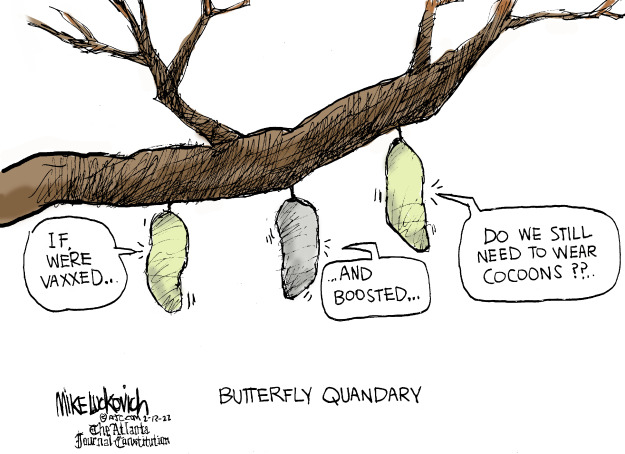'Do We Still Need Cocoons?' - KFF Health News