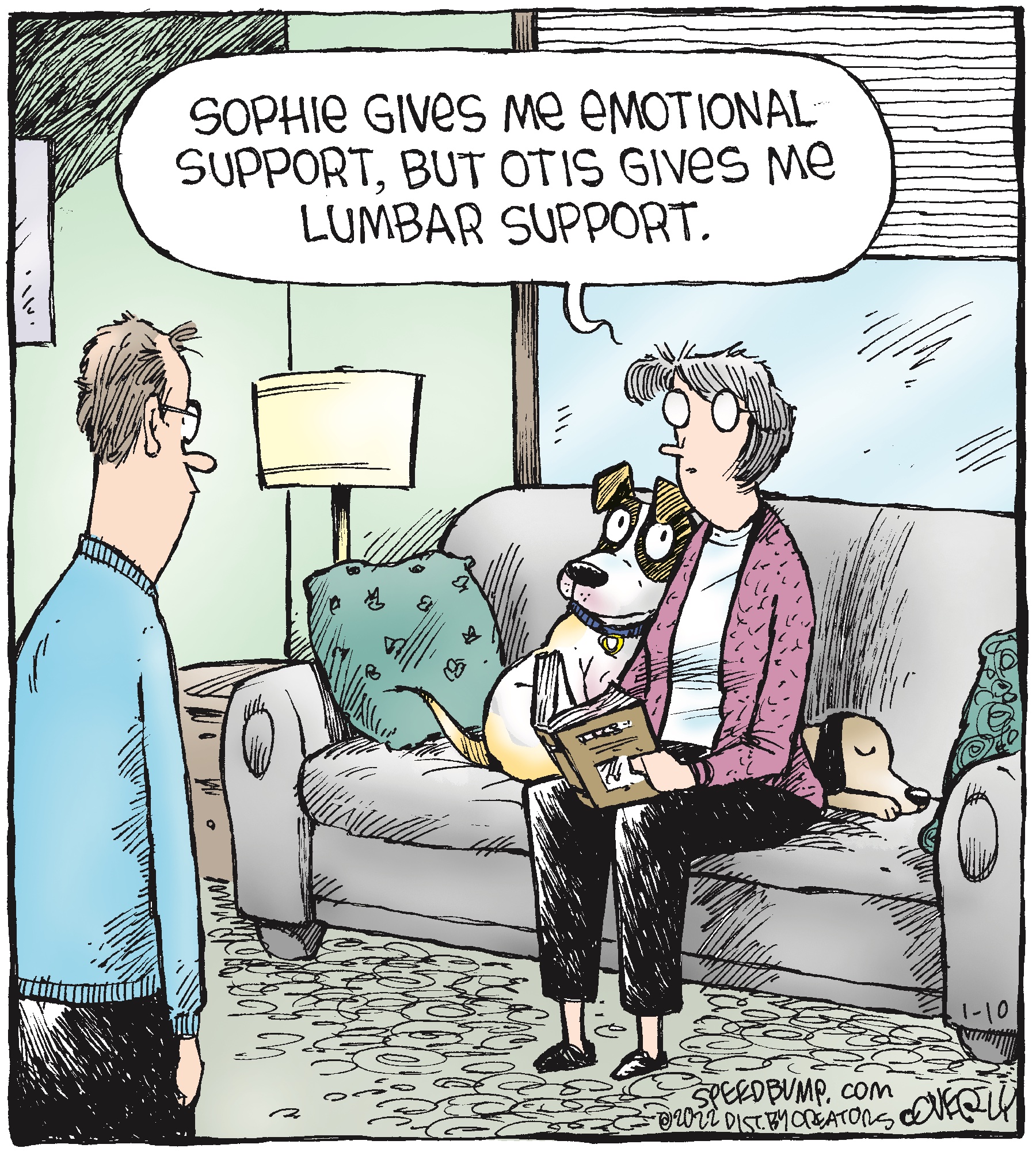 'Therapy Dogs?' - KFF Health News