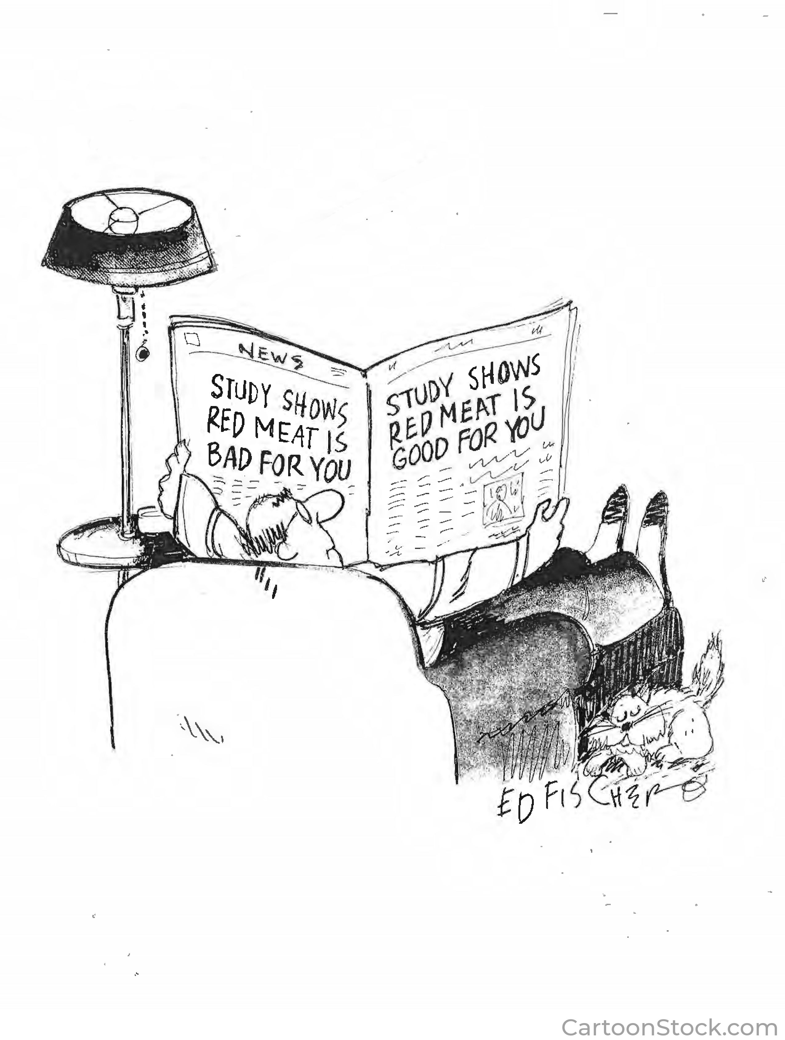 Offensive Cartoons