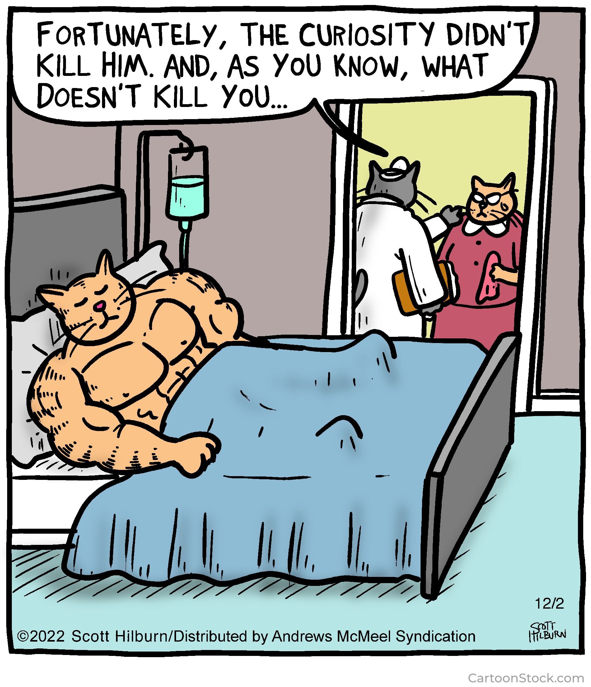 'Curiosity Didn't Kill the Cat?' - KFF Health News